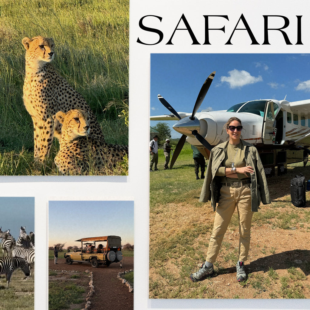 Descubra el mundo Safari con Coralie Charriol - Inspiración para viajar